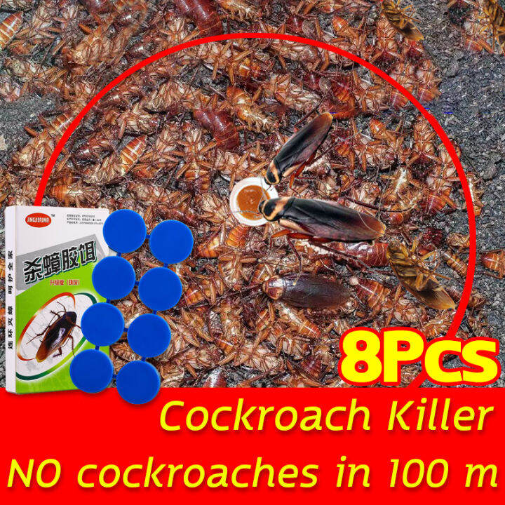 🔥No cockroaches within 100 meters🔥cockroach bait cockroach trap 100% ...