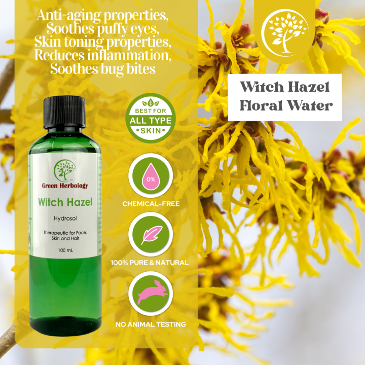 Pure Witch Hazel Hydrosol, Distilled from Essential Oil, 100ml | Lazada