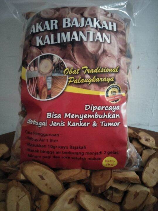 akar kuning bajakah asli kalimantan super kalawit 1kg - SEDIA Kayu ...