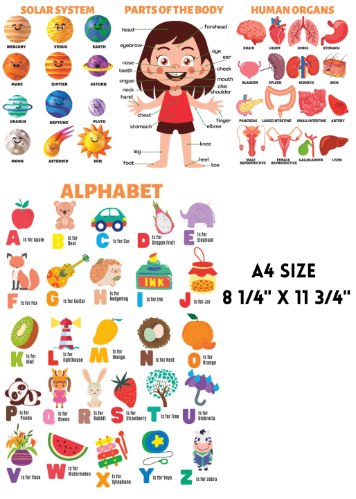 Laminated Educational Chart (A4 size) Maru Stuff Toys | Lazada PH