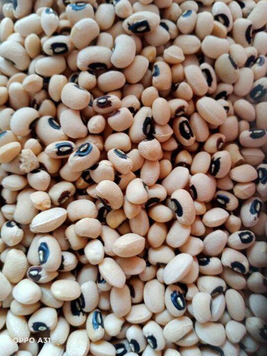 Mei Dou for Rice Dumpling (250g) | Lazada