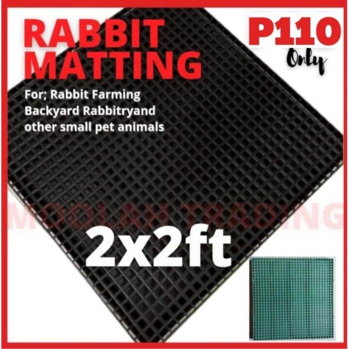 Moolah88 2x2ft Durable Plastic Rabbit Matting (P110 Only) | Lazada PH