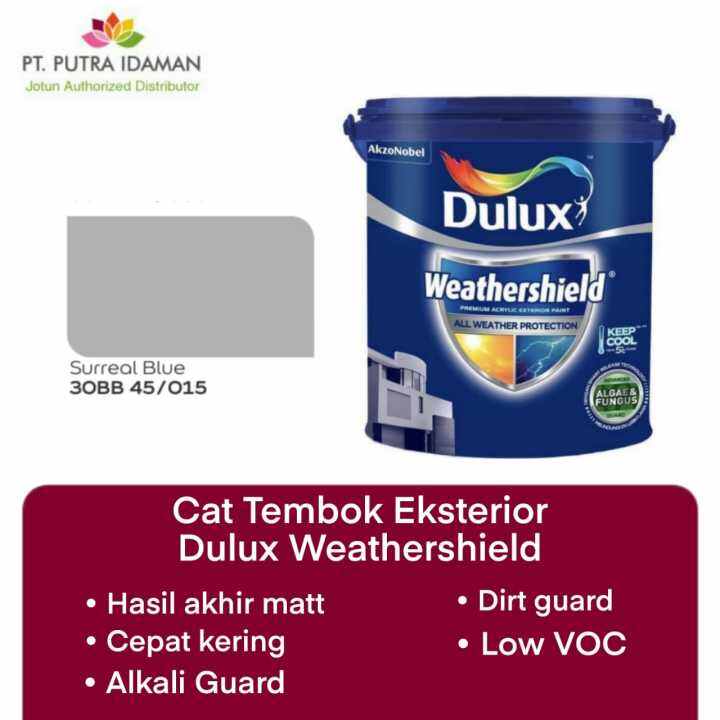 DULUX WEATHERSHIELD EXTERIOR - SURREAL BLUE 30BB 45/015 Tinting ...