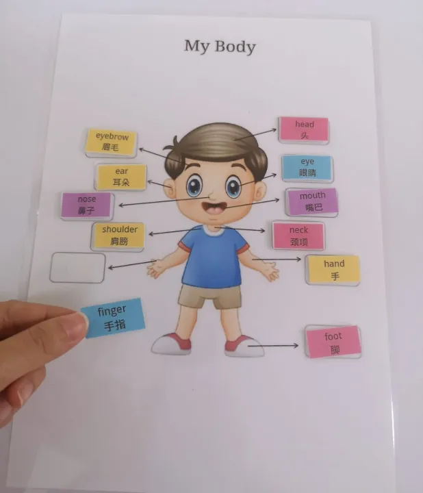 Montessori Interactive Busy Book for Kids | My body Book 我的身体安静书 | Lazada