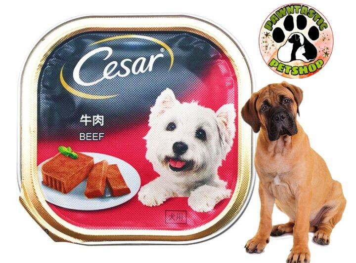 Cesar Can Dog Wet Food 100g - Beef | Lazada PH