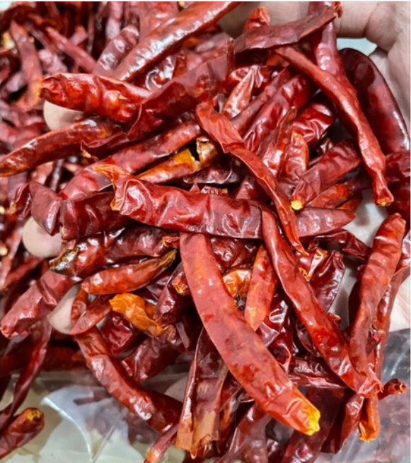Thailand Dried Chili | Lazada PH