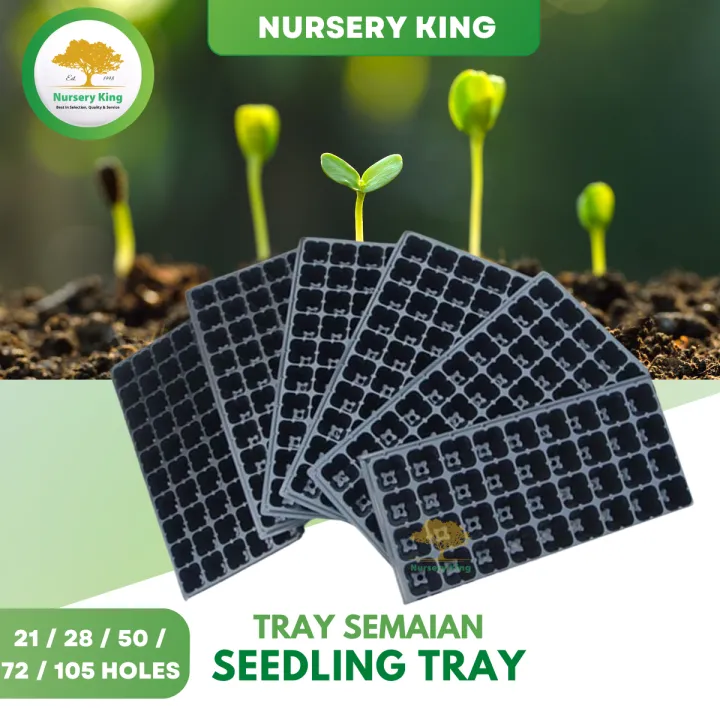 Ready Stock Tray Semaian 50/72/105 holes (Growing Crops) | Lazada