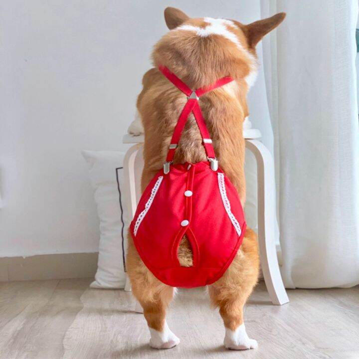 NALIAN Corgi กางเกงในสุนัขตัวเมียมีสายรัดผ้าอ้อมกางเกงในเฟรนช์บูลด็อก ...