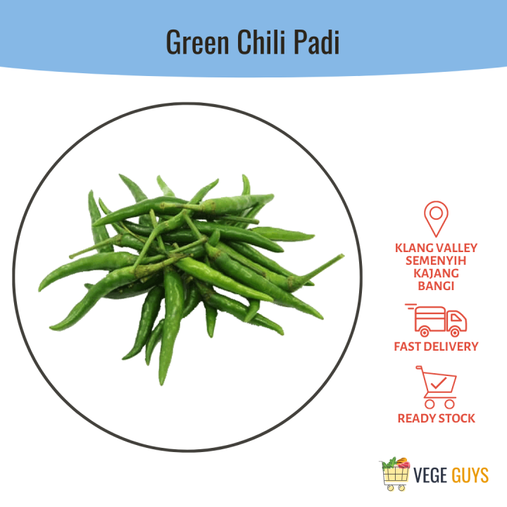 Green Chili Padi 辣椒 (+/-80g) | Lazada