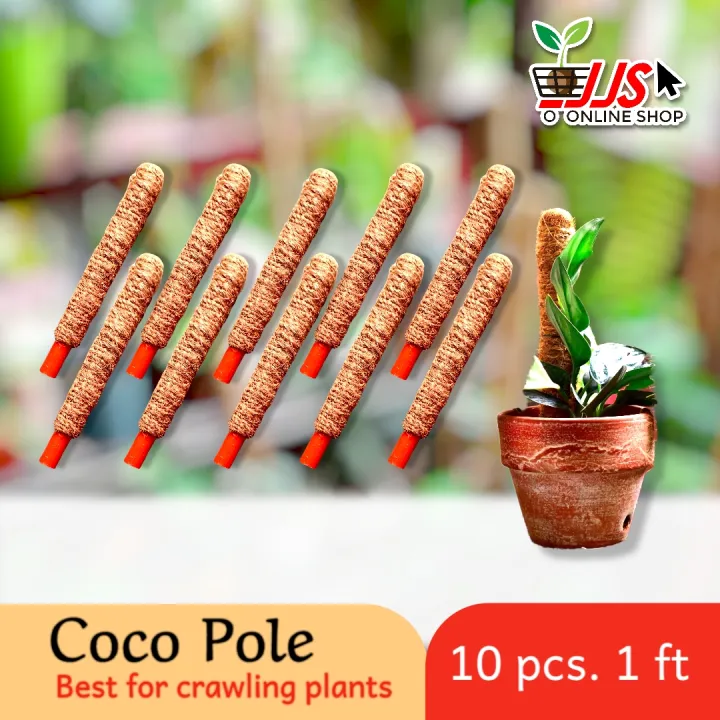 🛒 JJS Store | 10pcs. 1 ft. Coco Pole for plant (30 cm) Made of PVC ...