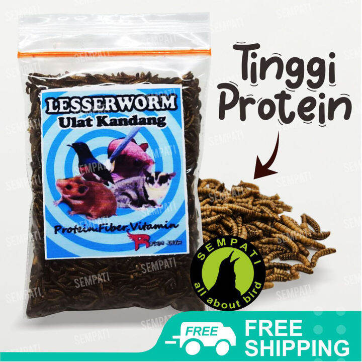 SEMPATI Lasserworm Ulat Kandang High Protein Vitamin Pakan Makanan ...