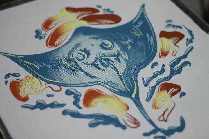 Stringray Collection Tshirt | Lazada PH