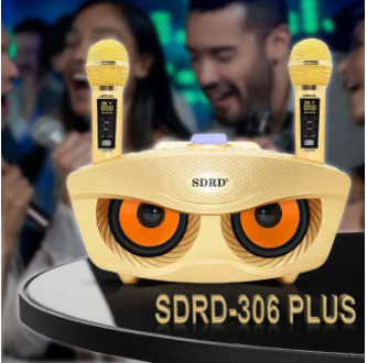 SDRD-306 Plus Professional Bluetooth Karaoke Speaker with Two Digital ...