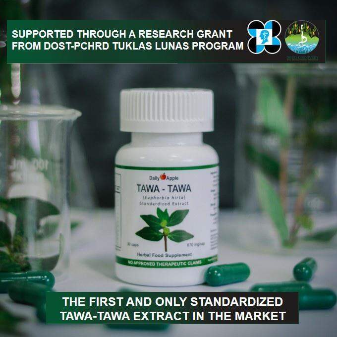 Daily- Tawa-Tawa Capsules (Herbanext) | Lazada PH