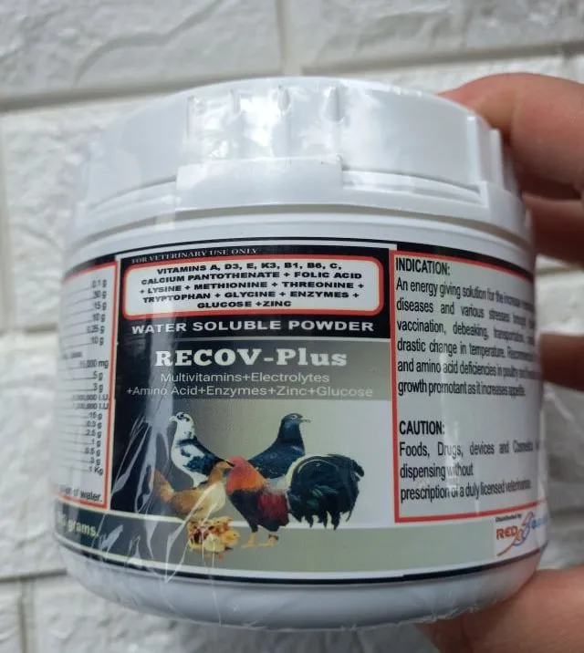 RECOV PLUS FOR PIGEON and in POULTRY AND LIVESTOCKS - 300 GRAMS AND 100 ...