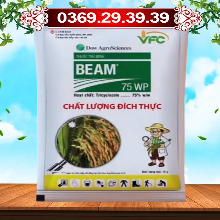 BEAM 75WP PHÒNG TRỪ NẤM BỆNH CHÁY LÁ, THỐI THÂN, THỐI NÕN TRÊN LAN, HOA ...
