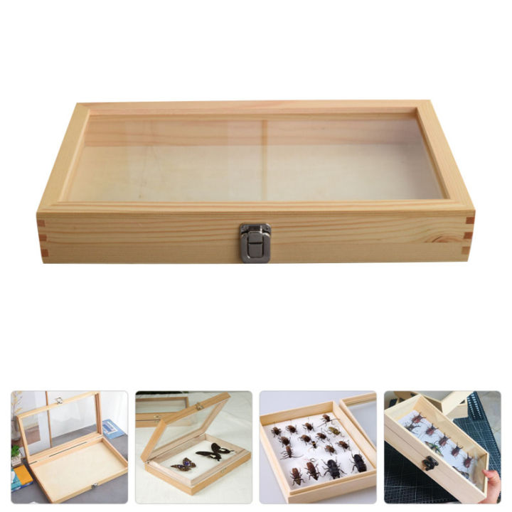 Homemaxs Storage Box Bug Display Case Glass Metal Insect Specimen