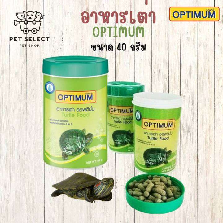 [40กรัม] อาหารเต่า optimum อาหารเต่ากระปุกเขียว ออพติมั่ม อาหารเต่าCP ...