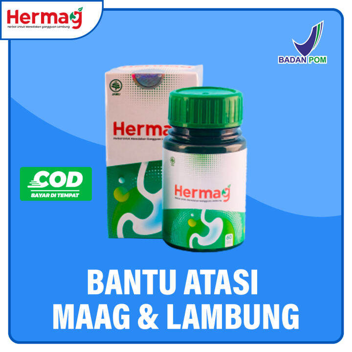 OBAT MAAG HERBAL, OBAT GERD, Nyeri Lambung, HERMAG Kapsul, 100% Herbal ...
