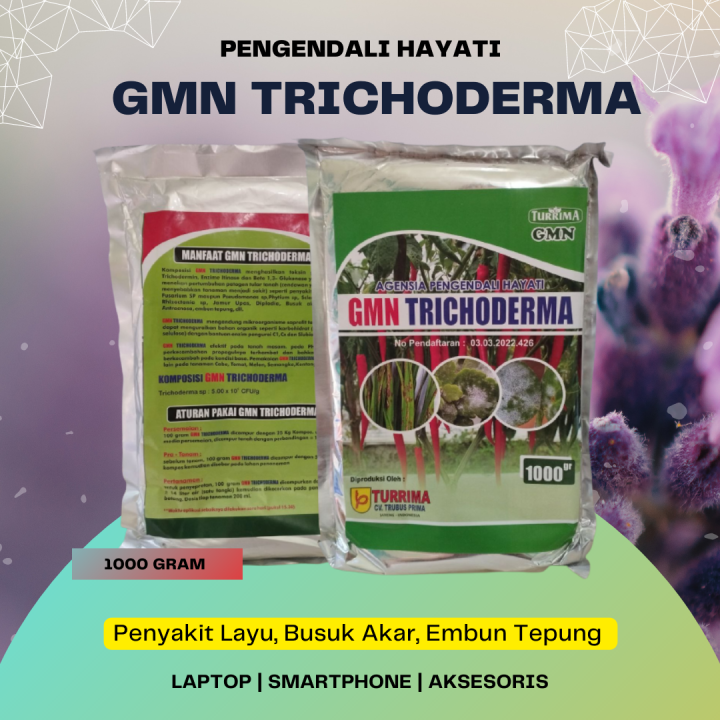 BISA COD Trichoderma, Fungisida Hayati Tricoderma, Obat Busuk Buah ...