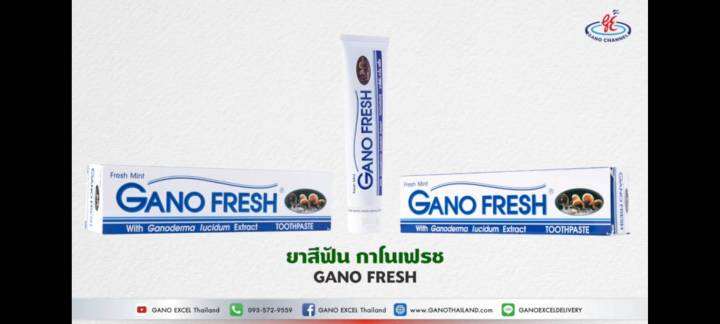 กาโน เฟรช ยาสีฟัน - GANO FRESH TOOTHPASTE | Lazada.co.th