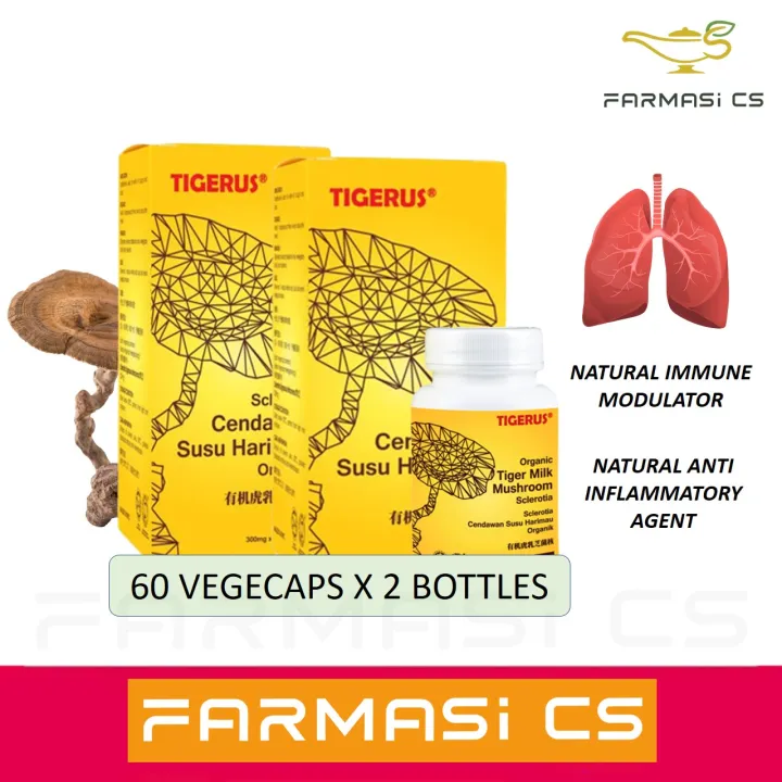 TIGERUS Tiger Milk Mushroom 300mg 60 Vegecaps x 2 Bottles EXP:07/2024 ...