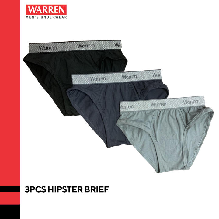 Warren Underwear 3in1 Hipster Brief (Gray) 3-998GRY | Lazada PH