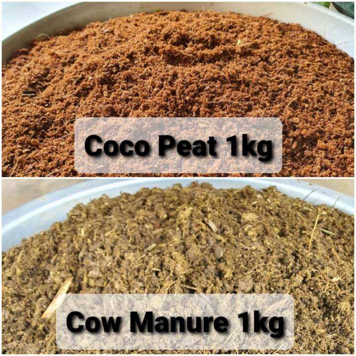 Screened Coco Peat (1kg) + Cow Manure (1kg) Php50 | Lazada PH