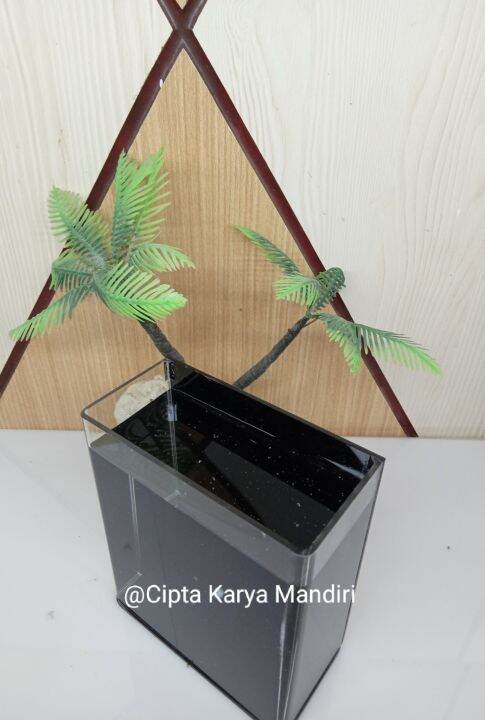 Soliter Akrilik 10 X 5 X 12 Background Hitam // Akuarium Cupang ...
