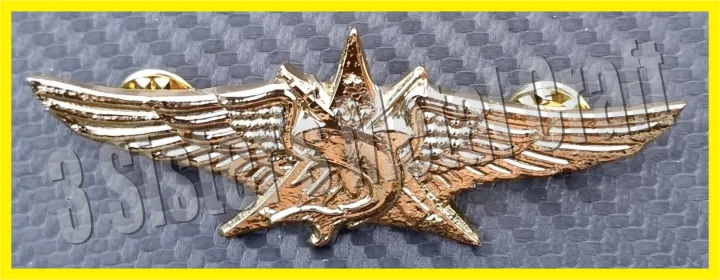 Philippine Navy Naval Special Operations Group Badge, Molder type ...