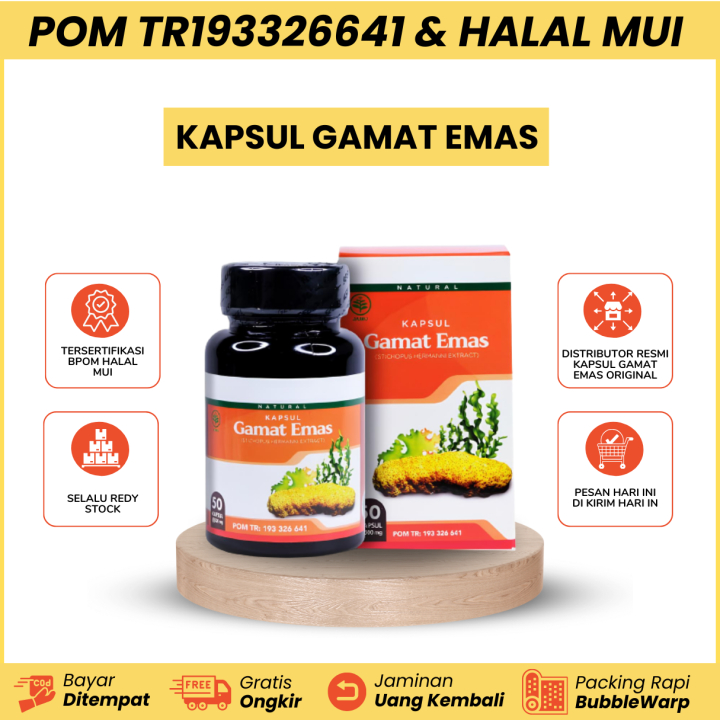 Kapsul Gamat Emas Obat Herbal Multikhasiat Untuk Penyakit Kronis dan ...