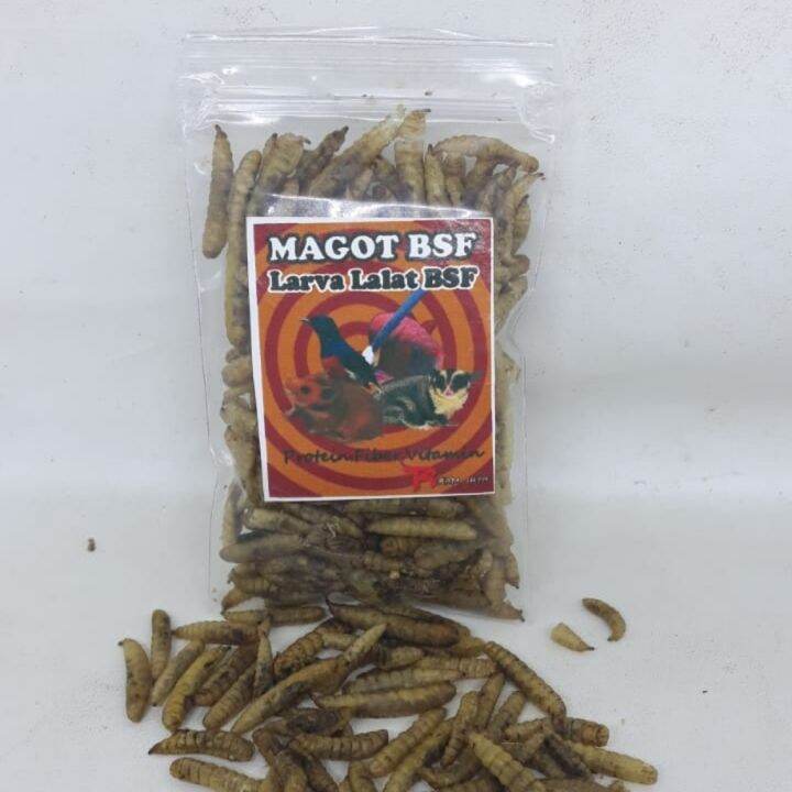 MAGOT KERING 15 gr LARVA LALAT BSF PAKAN BURUNG PEMAKAN SERANGGA ...