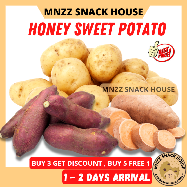 [ FREE GIFT ] Fresh Honey Sweet Potato Cameron Highland Ubi Keledek ...