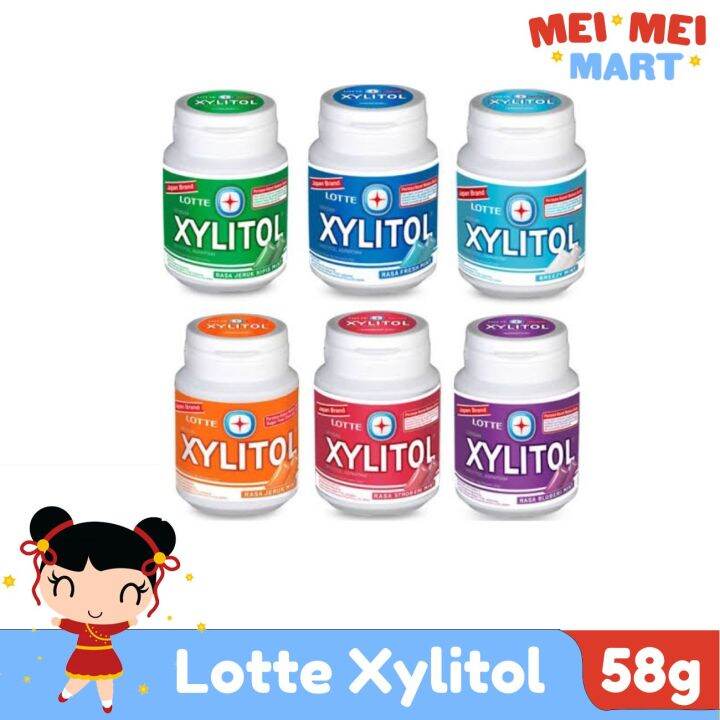 Xylitol Handy Bottle Fresh Mint Chewing Gum 58g | Lazada PH