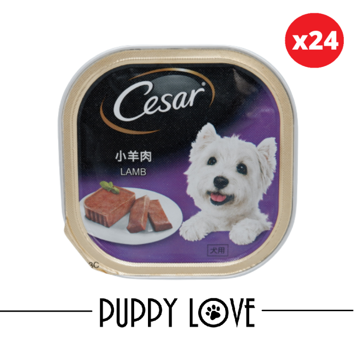 Cesar Lamb Dog Wet Food (100g x 24) | Lazada