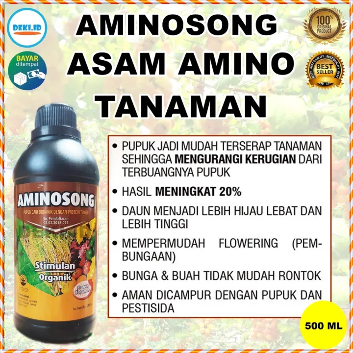 Aminosong 500 ML Pupuk Asam Amino Tanaman Organik Cair POC Buah Anggur ...
