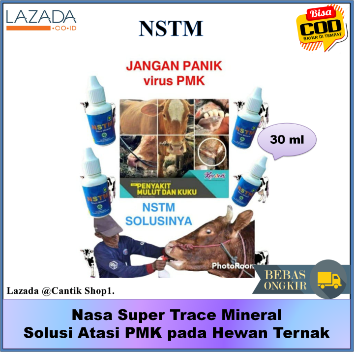 Obat PMK Pada Sapi NSTM 30 ml - Obat Segala Penyakit - Aman BPOM - NSTM ...