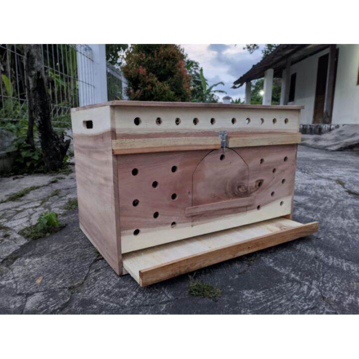 gupon burung dara merpati ukuran jumbo | Lazada Indonesia
