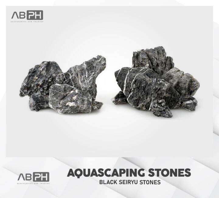 Black Seiryu Stone for Aquascaping and Aquarium Design | Lazada PH