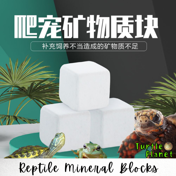 Reptile Calcium Block Natural Calcium Mineral for Turtle Tortoise ...
