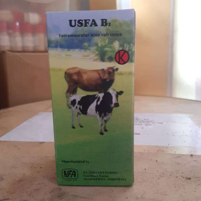 VITAMIN B1 USFA injeksi 100ml vitamin ternak | Lazada Indonesia