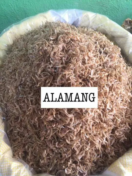 Dried Alamang Hipon 500grams | Lazada PH