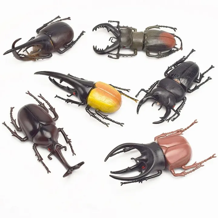 CERR Animal Collection Teaching Aids Beetle Figures Insect Toy Kids ...