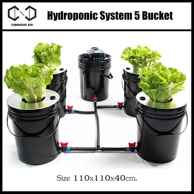 (พร้อมส่ง) ชุดปลูกครบเซ็ท Hydroponic Grow System Deep Water Culture ...
