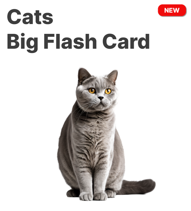 Cats Big Flash Cards for Kids, Baby, Big Flash Card, Flashcard ...