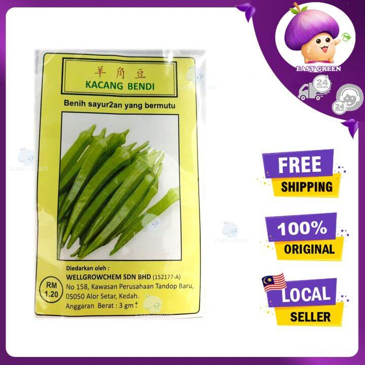 SFS KACANG BENDI/WG KACANG BENDI/KACANG LENDIR/BIJI BENIH KACANG BENDI ...