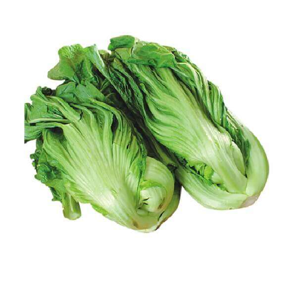 KAI CHOY / MUSTARD CABBAGE / 芥菜 | Lazada