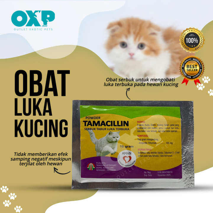 TAMACILIN OBAT LUKA TERBUKA KUCING INVEKSI DAN BERNANAH ABSES | Lazada ...