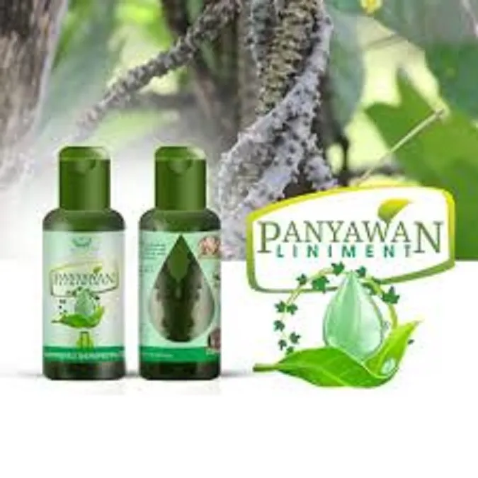 ( Buy 1 take 1 ) Panyawan Liniment Oil 60 ml | Lazada PH