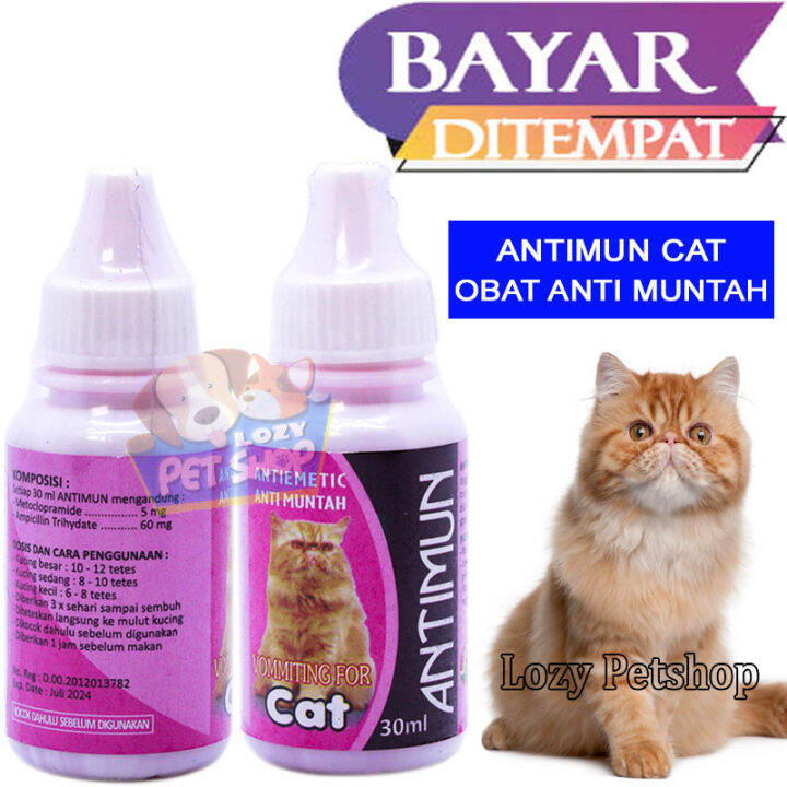 OBAT KUCING SAKIT MUNTAH MUNTAH ANAK KUCING KITTEN - ANTIMUN CAT ...